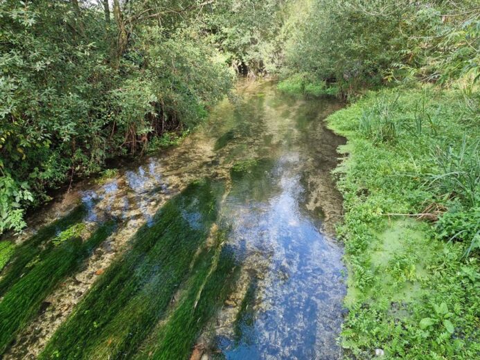 Challenge trail launched to encourage exploration of region’s chalk ...