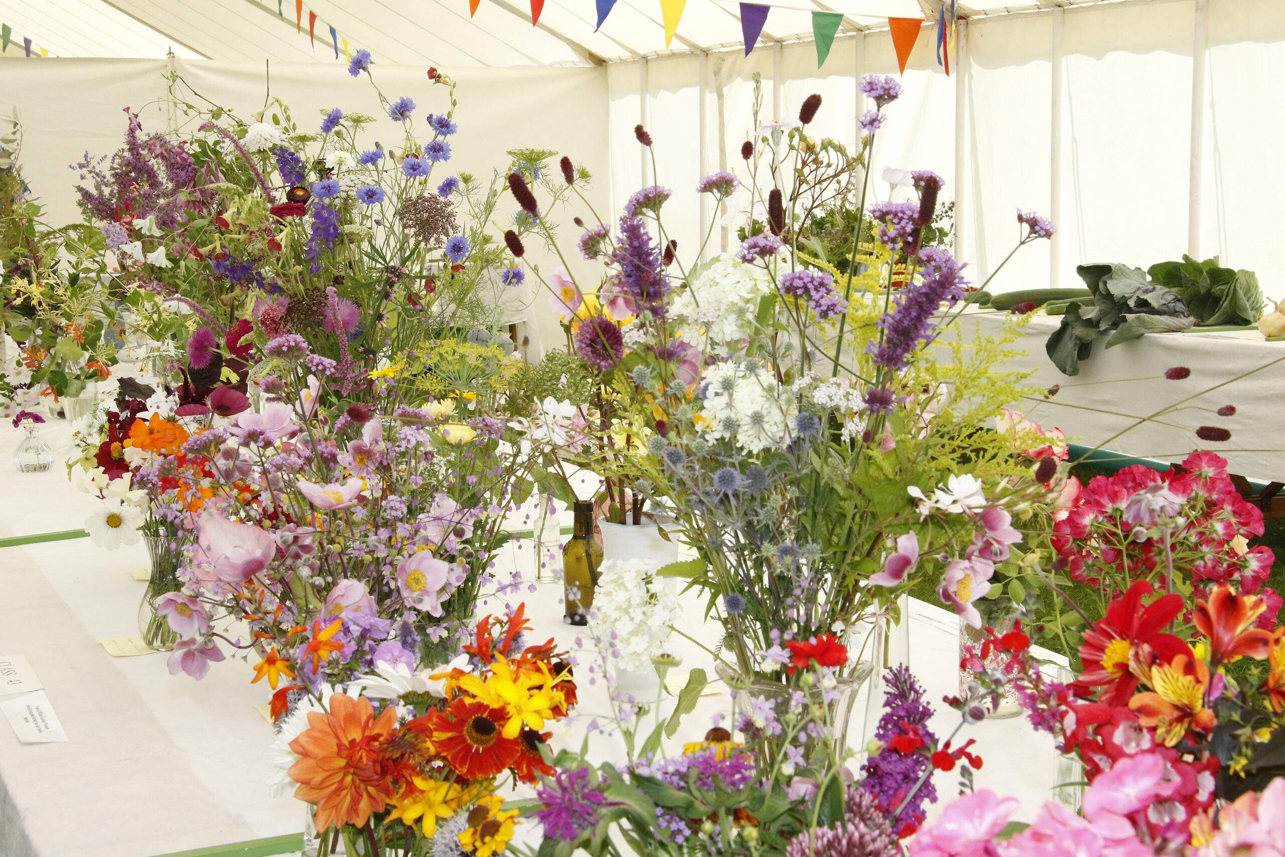 Blooming marvellous displays at Damerham & District Horticultural ...